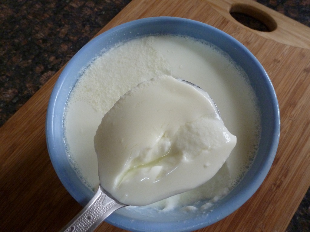 How To Set Thick Curd At Home | Perfect Homemade Dahi - Healthically ...